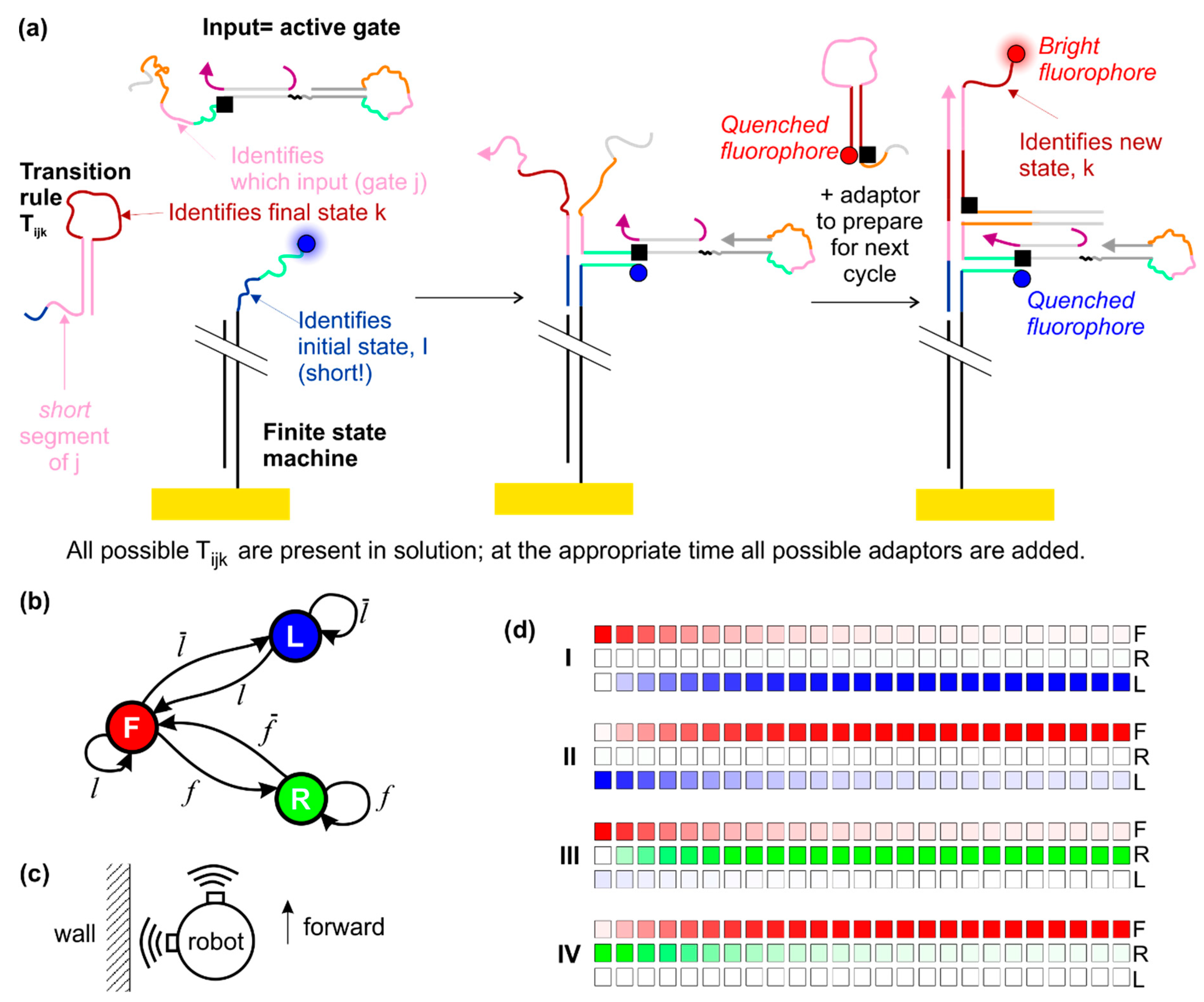 Towards a Bioelectronic Computer: A Theoretical Study of a Multi-Layer ...