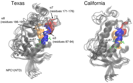 Simulations of NPC1(NTD):NPC2 Protein Complex Reveal Cholesterol ...