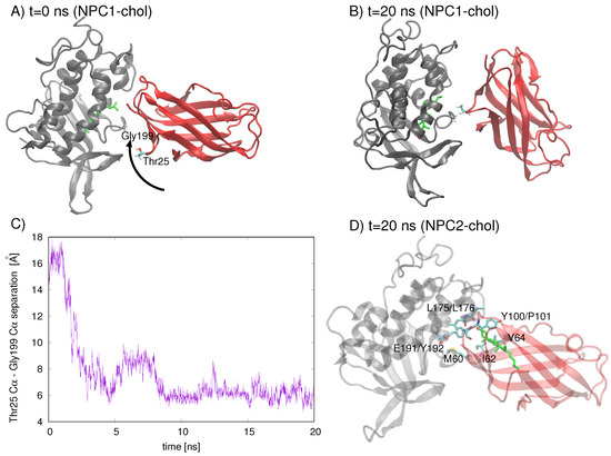 Simulations of NPC1(NTD):NPC2 Protein Complex Reveal Cholesterol ...