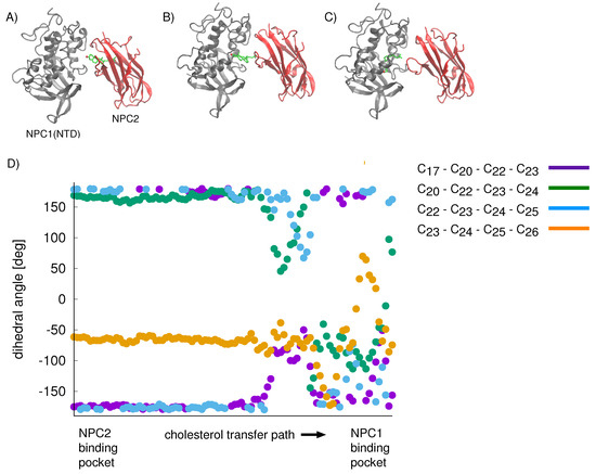 Simulations of NPC1(NTD):NPC2 Protein Complex Reveal Cholesterol ...