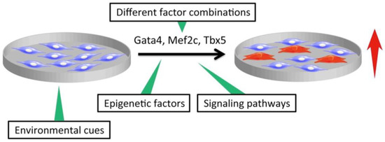 Direct Cardiac Reprogramming: A Novel Approach for Heart Regeneration
