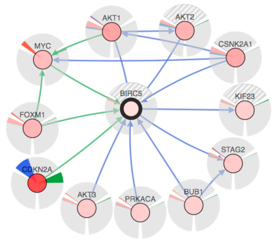Integrative Histologic and Bioinformatics Analysis of BIRC5/Survivin ...