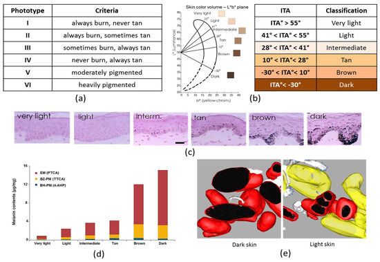 IJMS | Free Full-Text | Clinical and Biological Characterization of ...