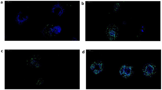 Molecular Characterisation and Functions of Fis1 and PDCD6 Genes from ...