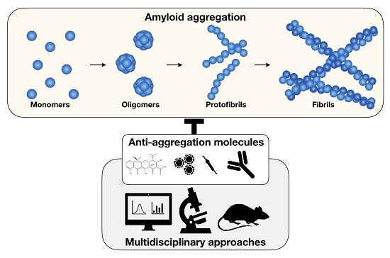 IJMS | Free Full-Text | Targeting Amyloid Aggregation: An Overview of Strategies and Mechanisms