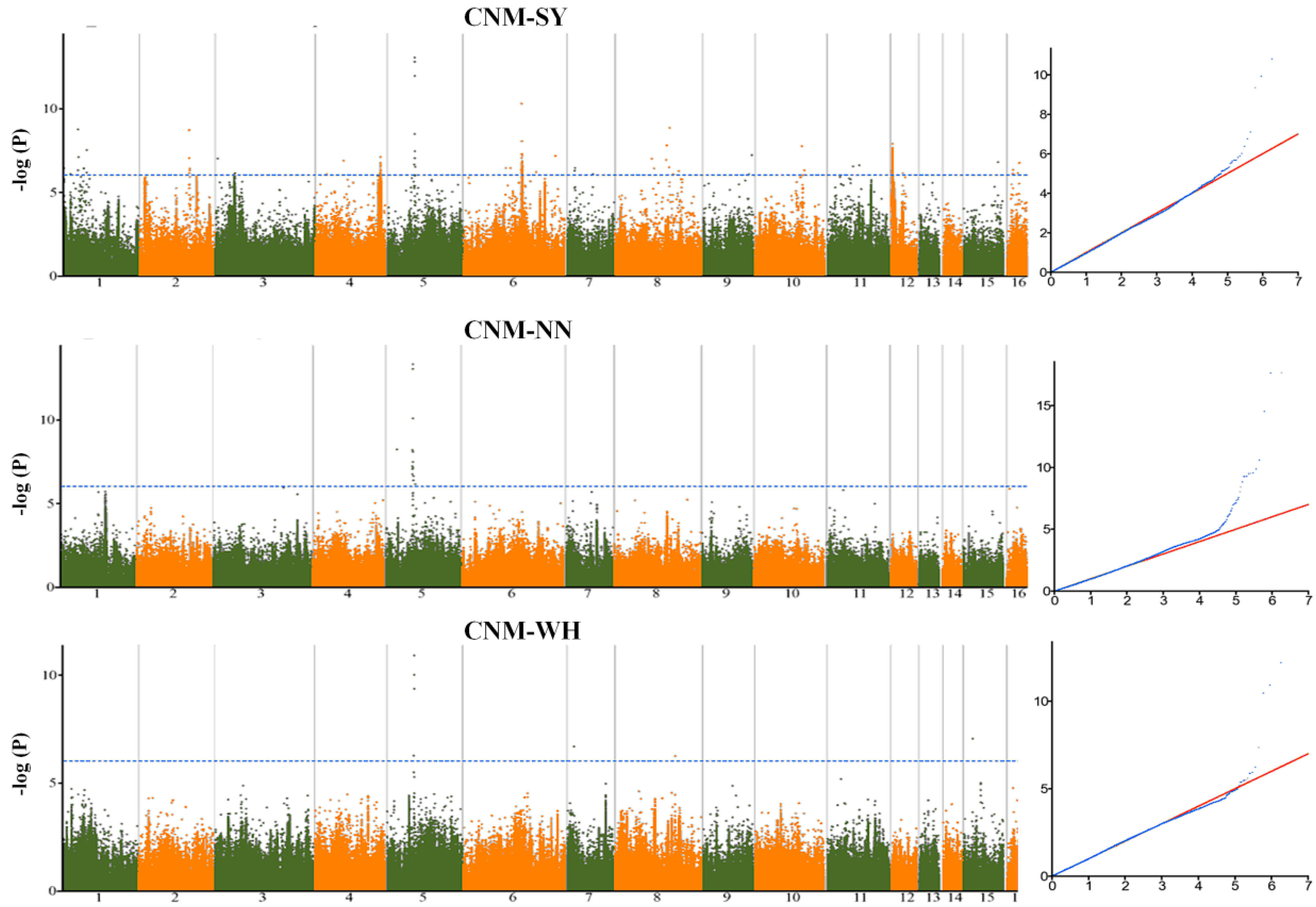 Genome-Wide Association Studies of 39 Seed Yield-Related Traits in ...