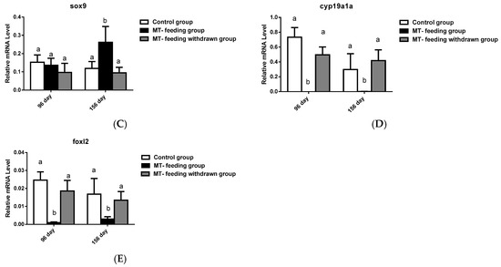 Ijms Free Full Text Mt Feeding Induced Impermanent Sex Reversal In