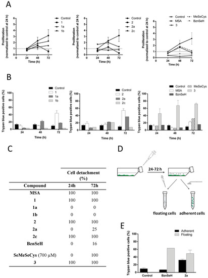 Novel Methylselenoesters Induce Programed Cell Death via Entosis in ...