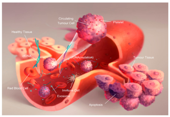 Blood-Based Cancer Biomarkers in Liquid Biopsy: A Promising Non ...