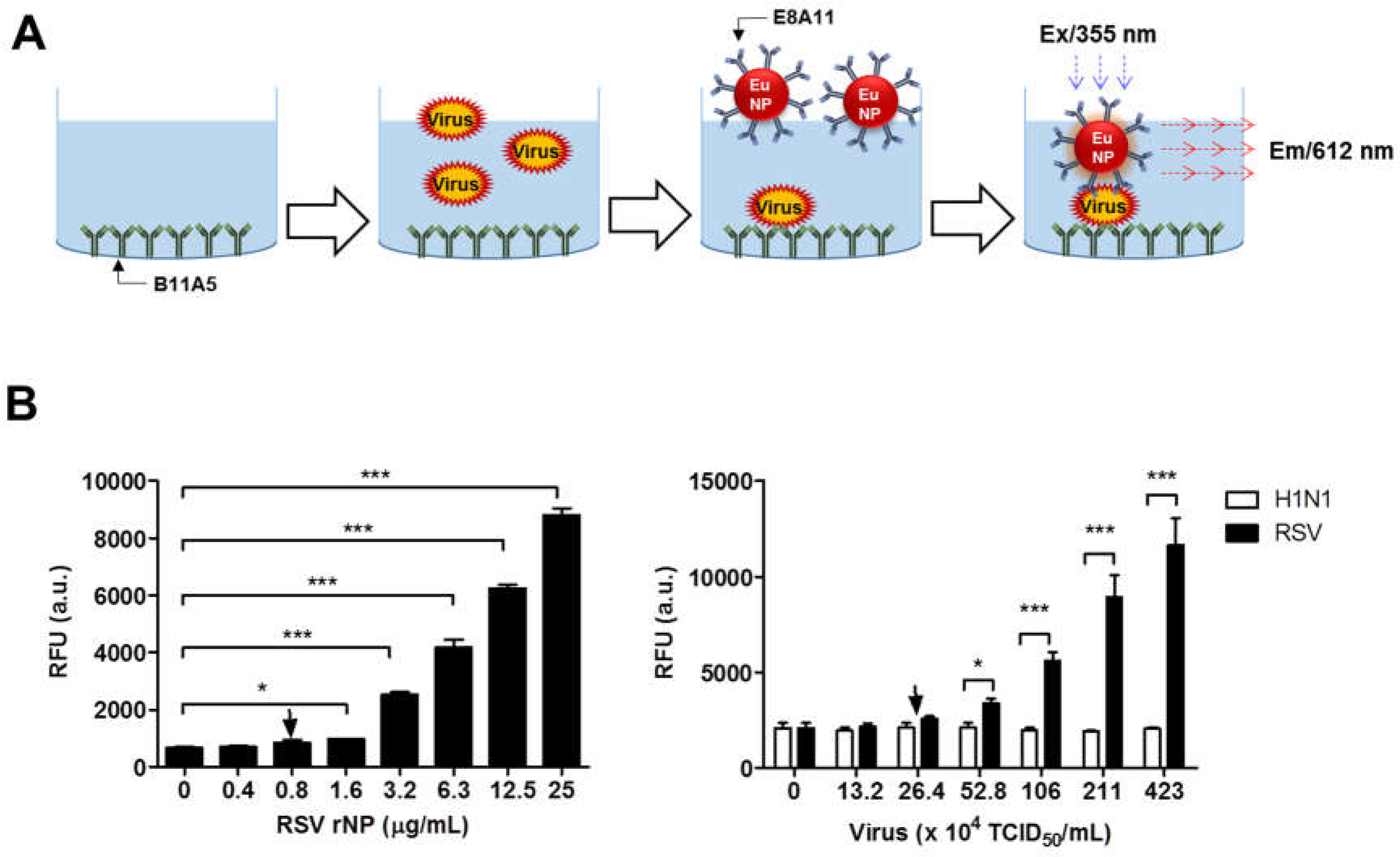 Development of a Rapid Fluorescent Immunochromatographic Test to Detect ...