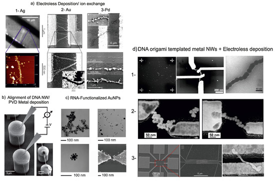 Review of the Electrical Characterization of Metallic Nanowires on DNA ...