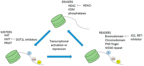 Epigenetic Modifiers in Myeloid Malignancies: The Role of Histone ...