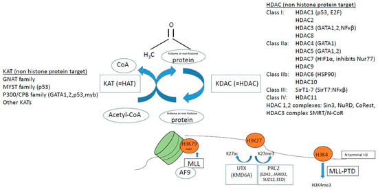 Epigenetic Modifiers in Myeloid Malignancies: The Role of Histone ...