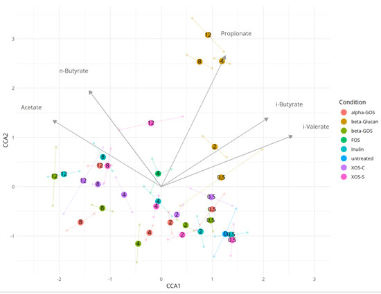 IJMS | Free Full-Text | In Vitro Fermentation of Selected Prebiotics ...