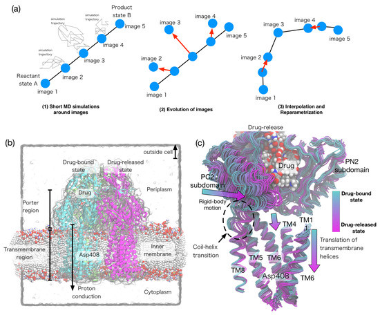 Exploring Configuration Space and Path Space of Biomolecules Using Enhanced Sampling Techniques ...