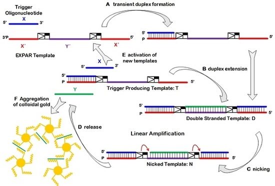 IJMS | Free Full-Text | A Novel Design Combining Isothermal Exponential ...