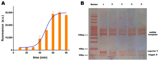 A Novel Design Combining Isothermal Exponential Amplification and Gold ...
