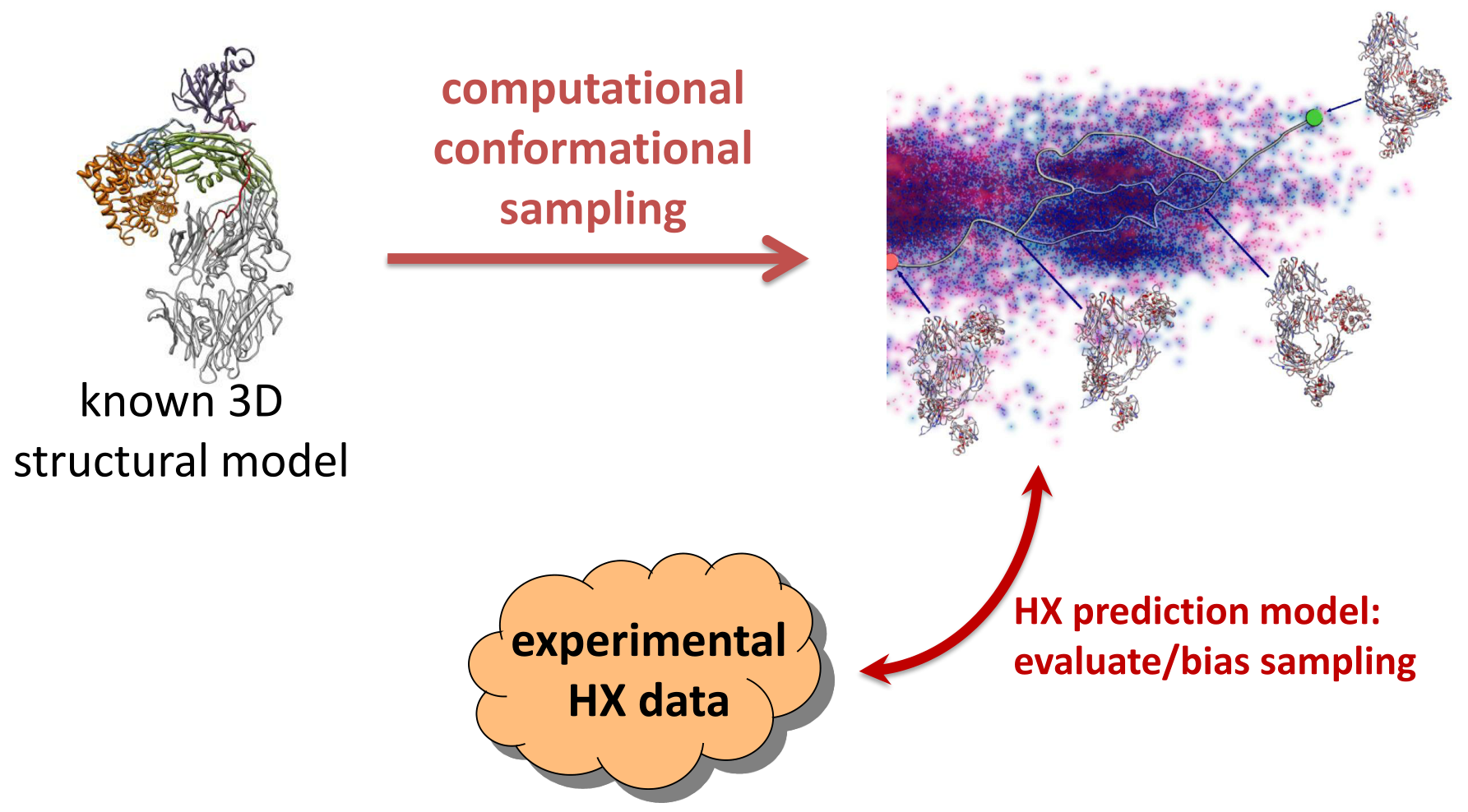 IJMS | Free Full-Text | Revealing Unknown Protein Structures Using ...