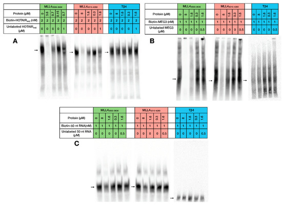 Disordered Regions of Mixed Lineage Leukemia 4 (MLL4) Protein Are ...