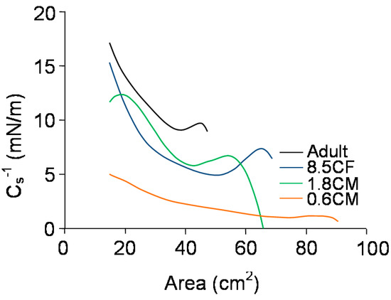 Insights into Tear Film Stability from Babies and Young Adults: A Study ...