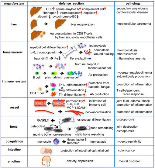 IJMS | Special Issue : The Interleukins in Health and Disease