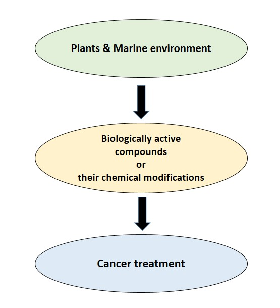 IJMS | Free Full-Text | Anticancer Activity of Natural Compounds from ...