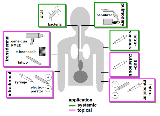 DNA Vaccines—How Far From Clinical Use?