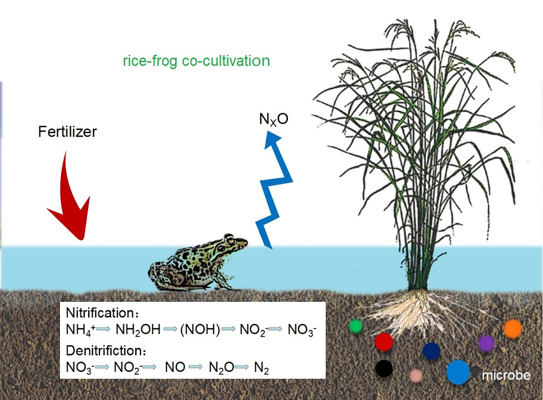 IJMS | Free Full-Text | Comparison of the Abundance and Community ...