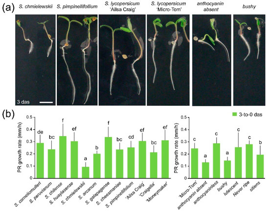 IJMS | Special Issue : Root Development in Plants