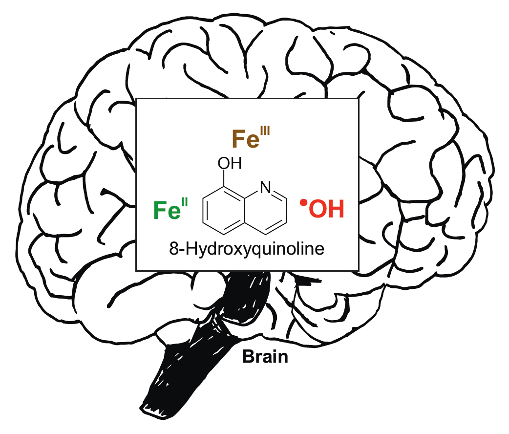 IJMS | Free Full-Text | Antioxidant Properties and the Formation of ...