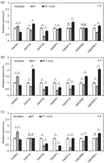Supraoptimal Cytokinin Content Inhibits Rice Seminal Root Growth by ...