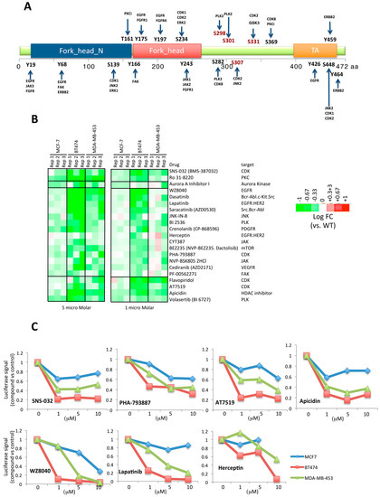 High Throughput Chemical Screening Reveals Multiple Regulatory Proteins ...
