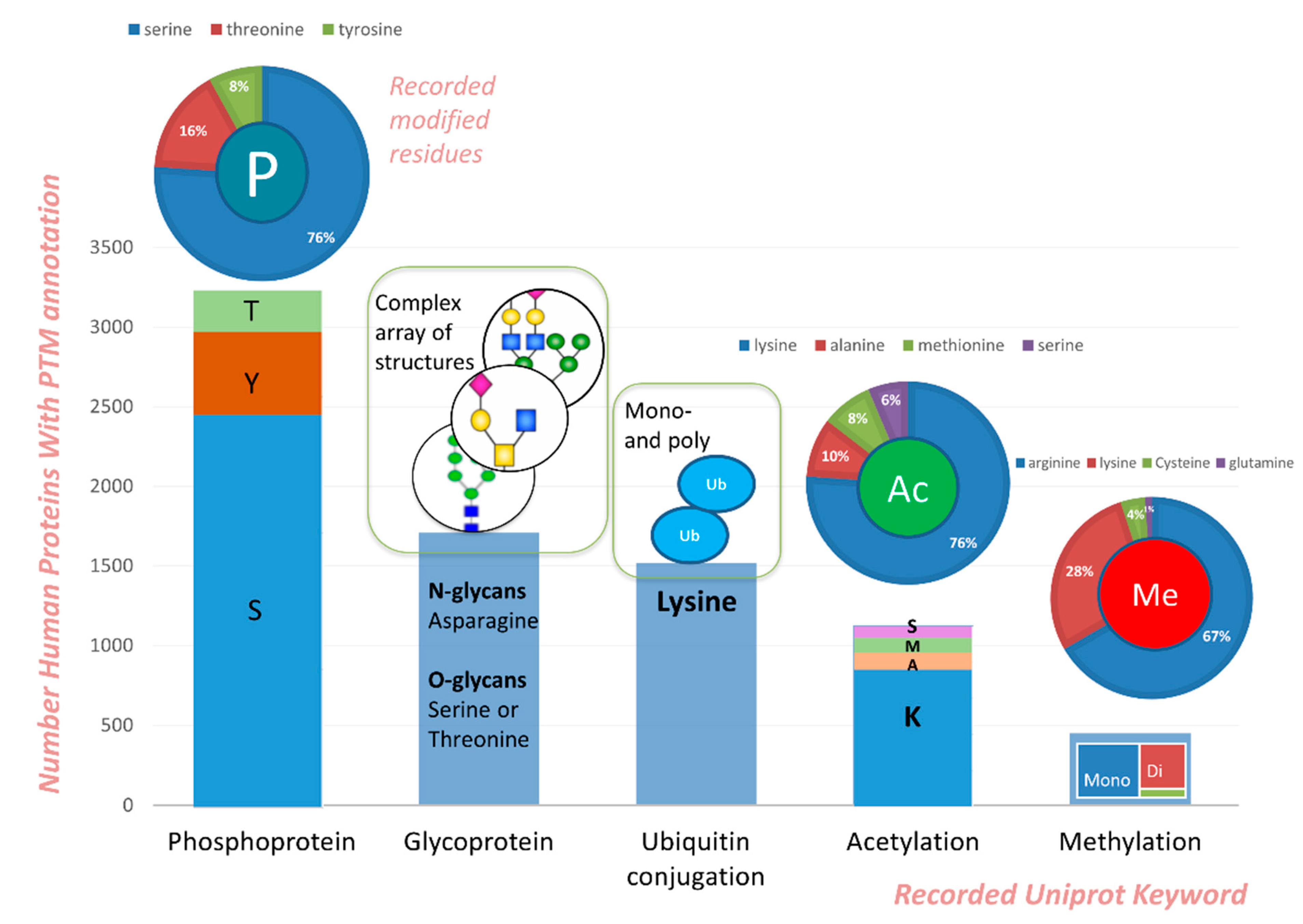 Clinically Relevant Post-Translational Modification Analyses—Maturing ...