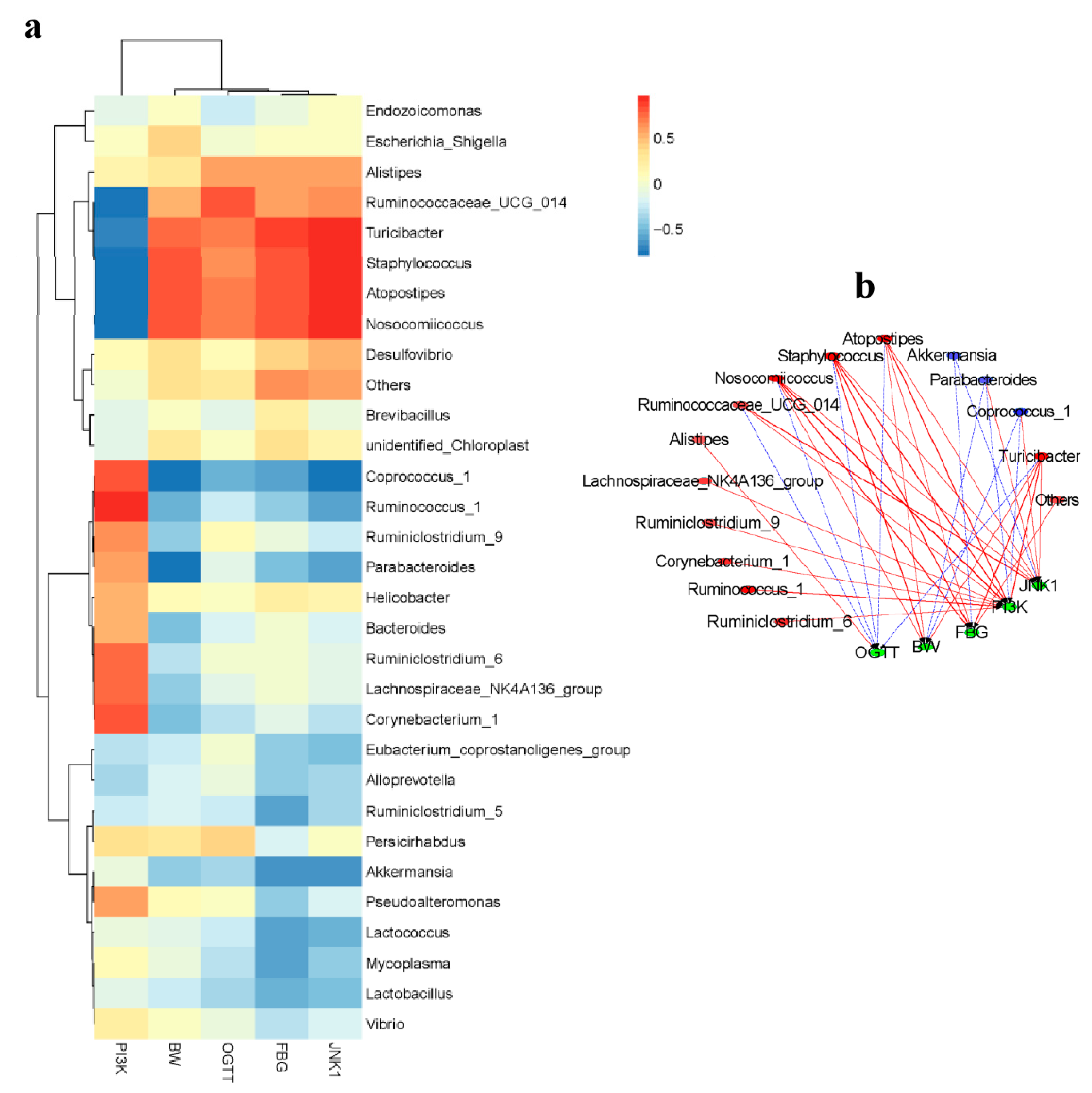 Role of Green Macroalgae Enteromorpha Prolifera Polyphenols in the ...