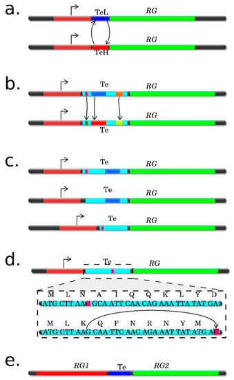 Computational and Experimental Tools to Monitor the Changes in ...
