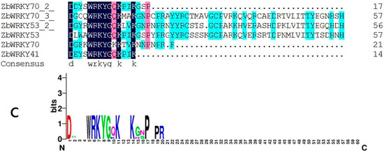 Patterns of Drought Response of 38 WRKY Transcription Factors of ...