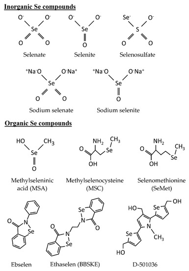 Selenium Species: Current Status and Potentials in Cancer Prevention ...