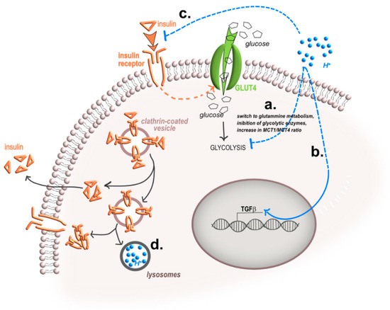 IJMS | Special Issue : Insulin and Insulin Receptor in Diseases