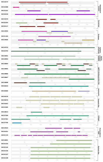IJMS | Free Full-Text | In Silico Analysis of Pacific Oyster ...