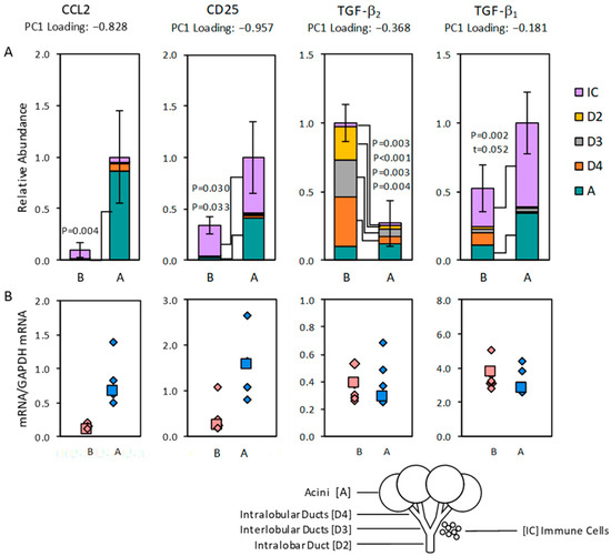 IJMS | Free Full-Text | Molecular Evidence for Precursors of Sjögren’s ...