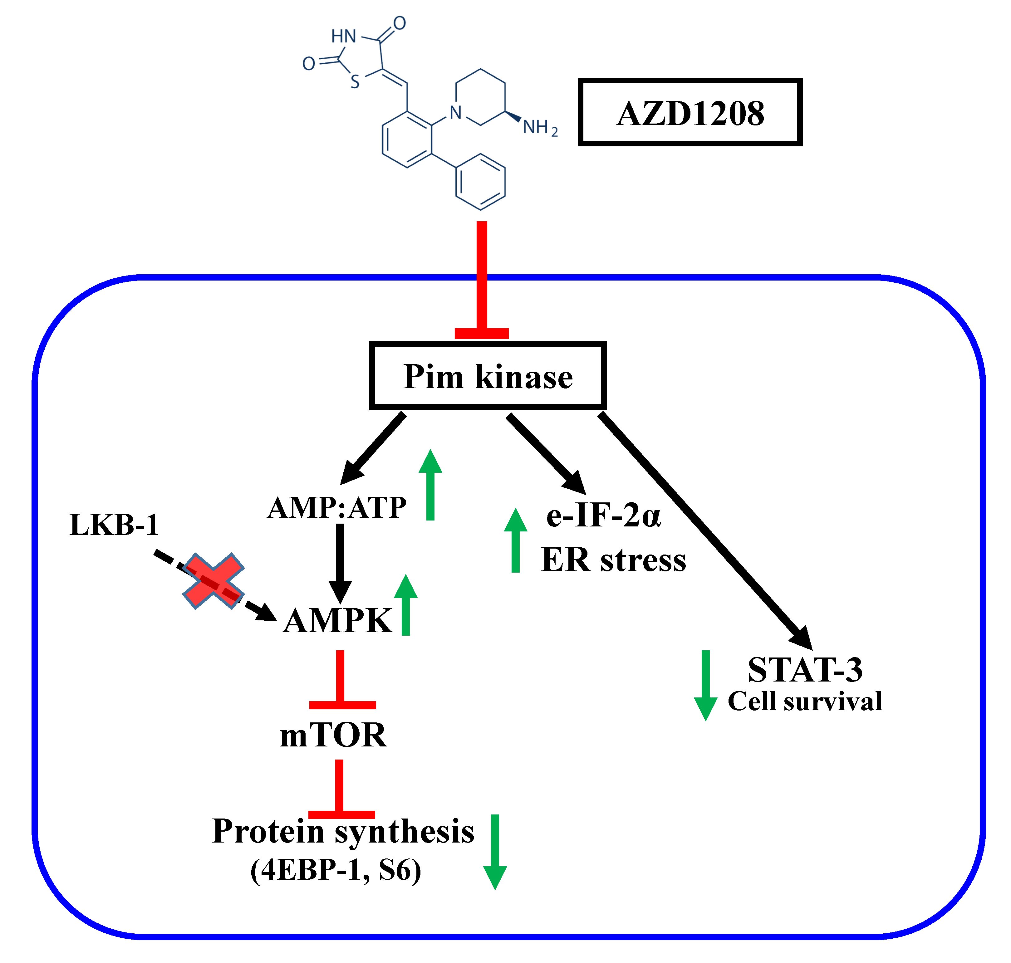 Ijms Free Full Text Azd1208 A Pan Pim Kinase Inhibitor Has Anti