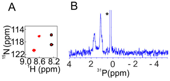 In-Cell NMR: Analysis of Protein–Small Molecule Interactions, Metabolic ...