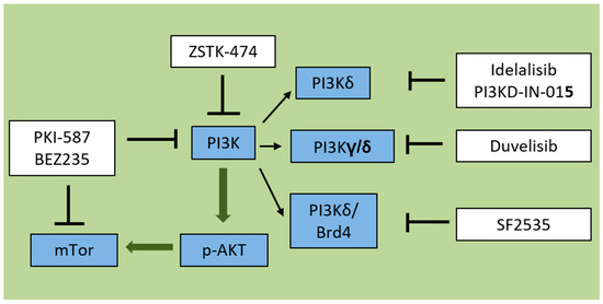 Targeting PI3K Signaling in Acute Lymphoblastic Leukemia
