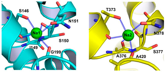 Structure and Mechanism of the Divalent Anion/Na+ Symporter