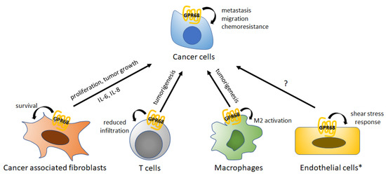 GPR68: An Emerging Drug Target in Cancer
