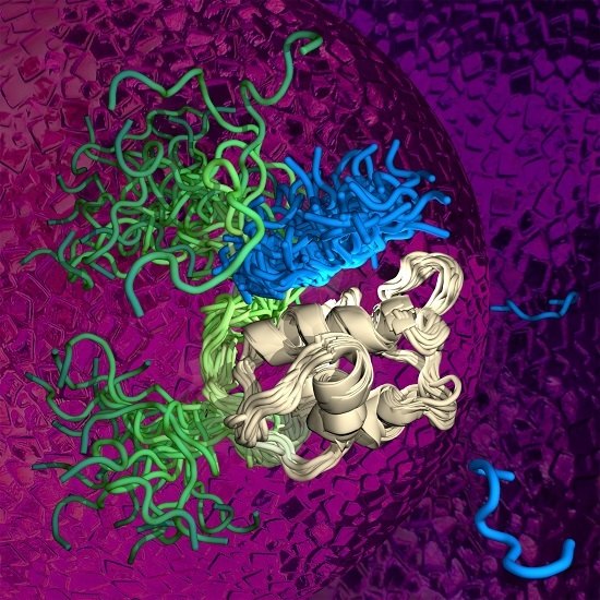 IJMS | Free Full-Text | Modeling of Disordered Protein Structures Using ...