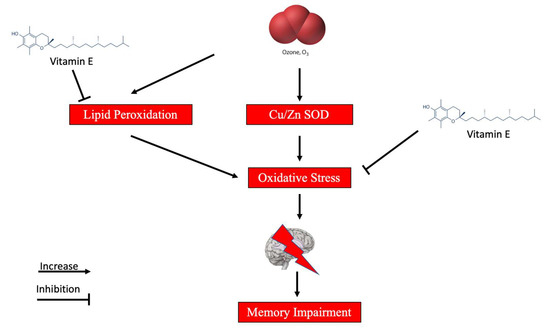 The Biochemical and Pharmacological Properties of Ozone: The Smell of ...