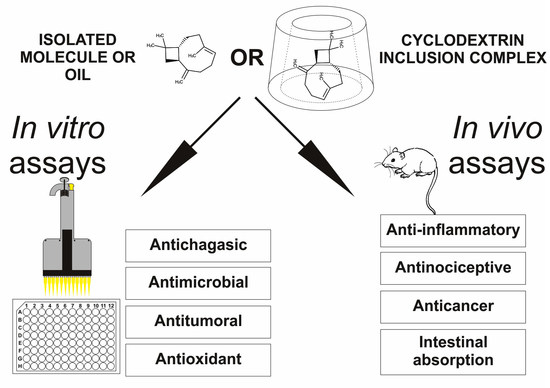 IJMS | Free Full-Text | Cyclodextrin–Drug Inclusion Complexes: In Vivo ...