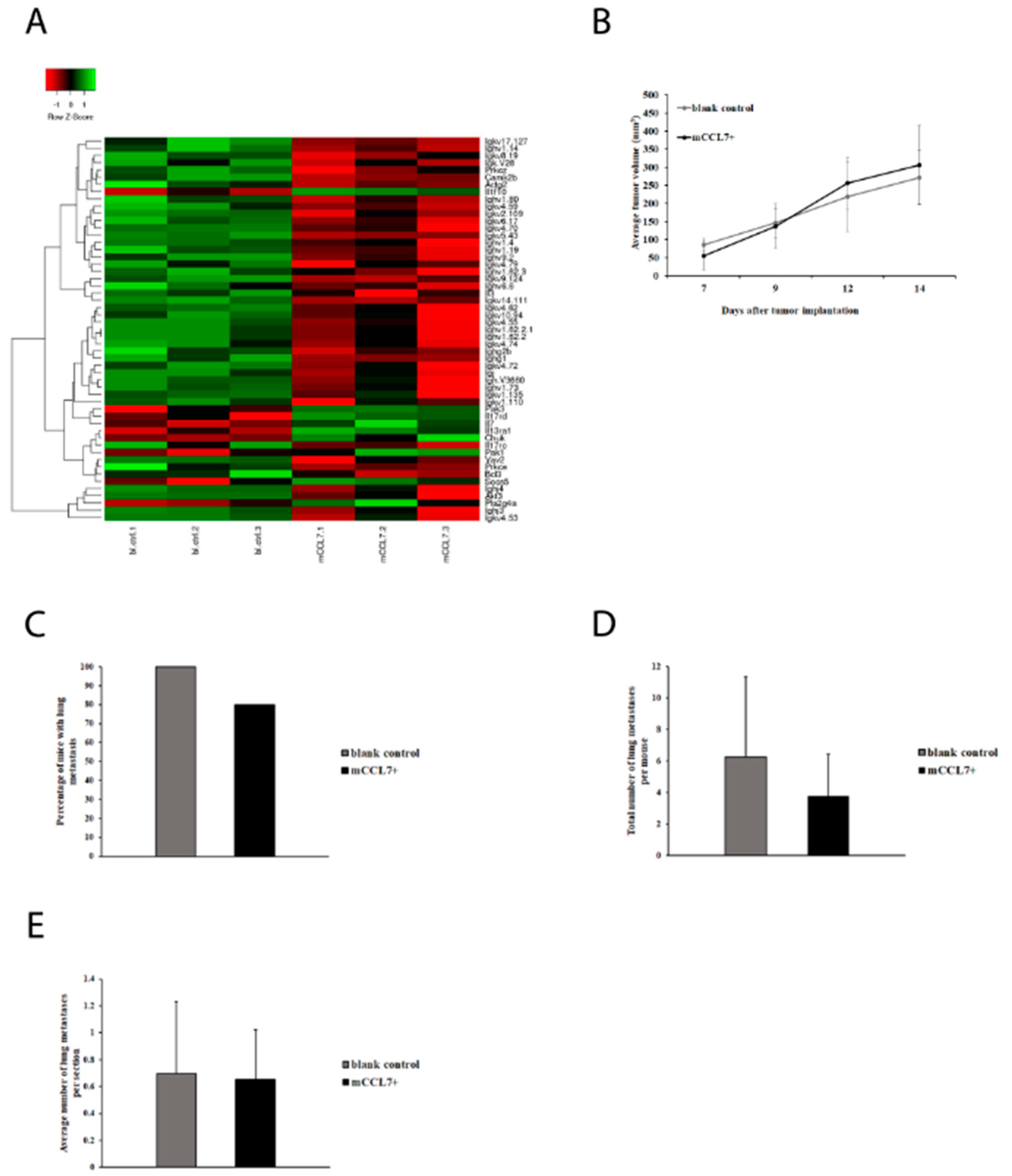 Effect of Chemokine (C-C Motif) Ligand 7 (CCL7) and Its Receptor (CCR2 ...