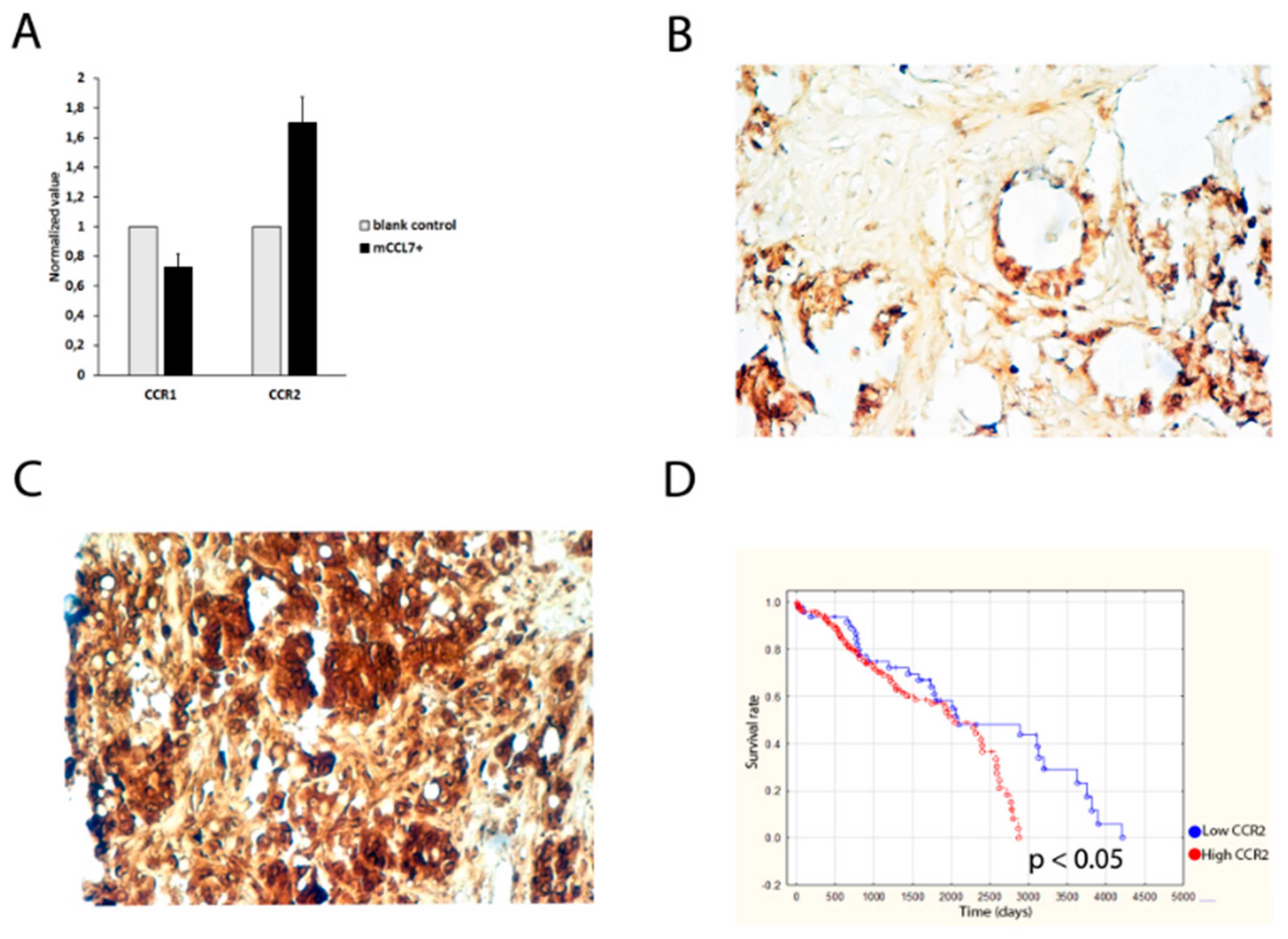 Effect of Chemokine (C-C Motif) Ligand 7 (CCL7) and Its Receptor (CCR2 ...